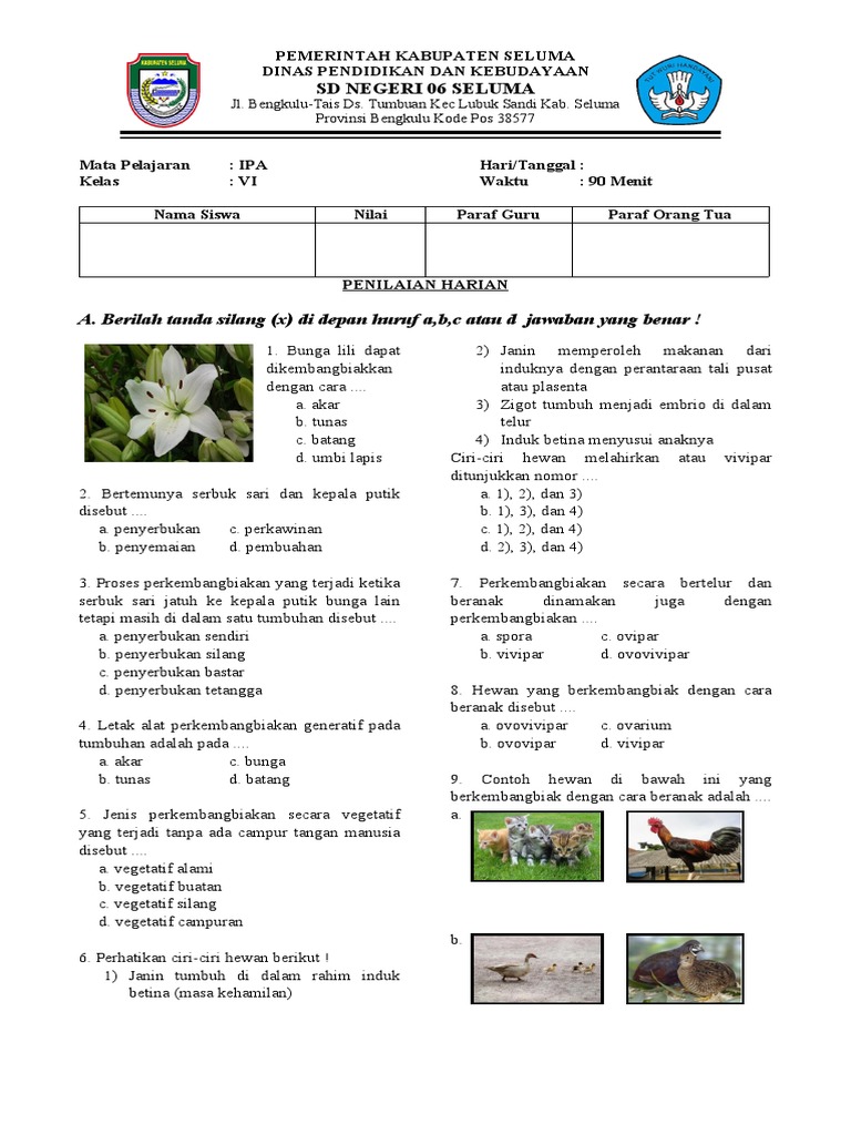 Soal PH IPA Kelas 6 Semester 1 Oke | PDF
