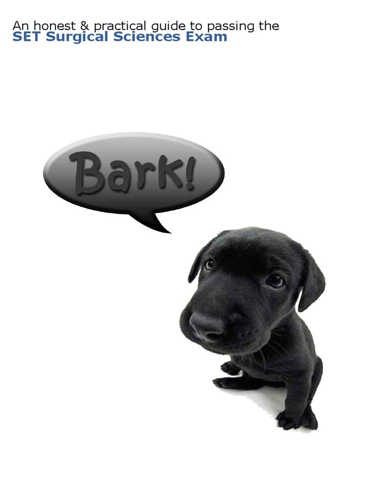 Honest Guide To SSE | PDF