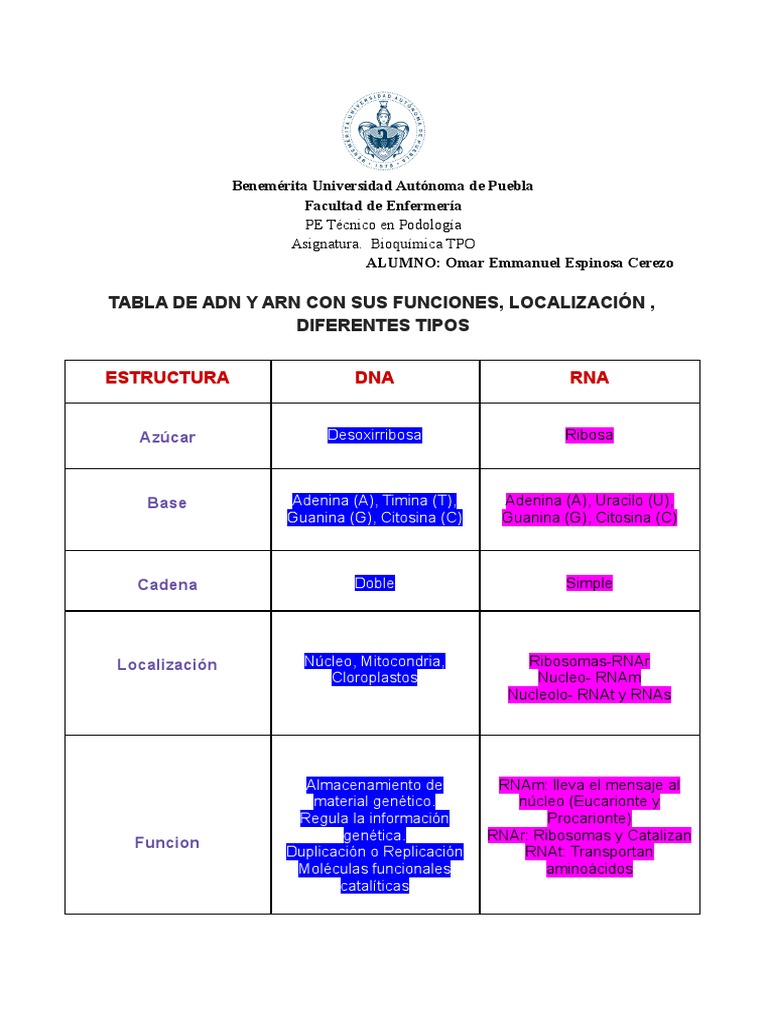 Tabla de Adn y Arn | PDF