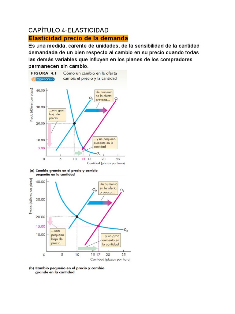 Capítulo 4-Elasticidad | PDF | Elasticidad (economía) | Oferta y demanda