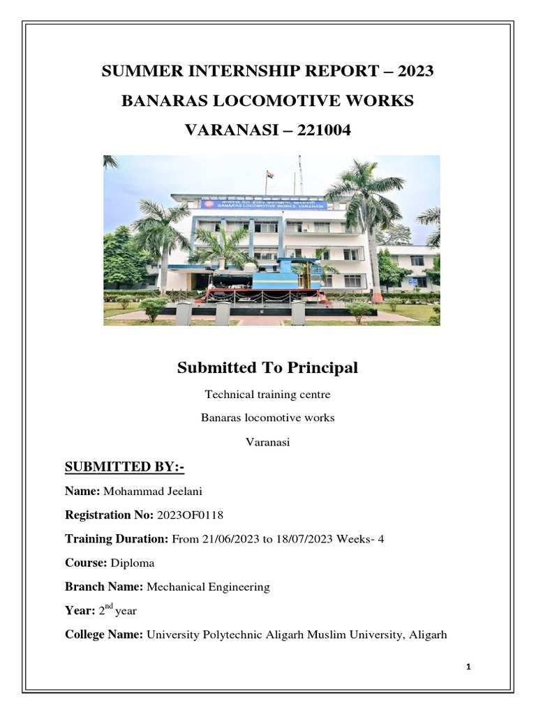 Summer Internship Report Complete | PDF