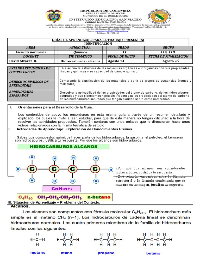 Guía 11 Alcanos | PDF | Hidrocarburos | Química