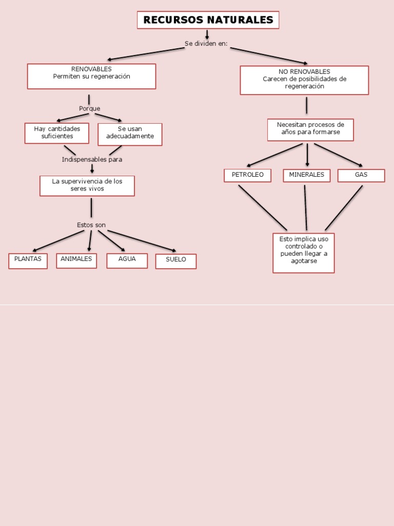 Mapa Conceptual de Los Recursos Naturales | PDF