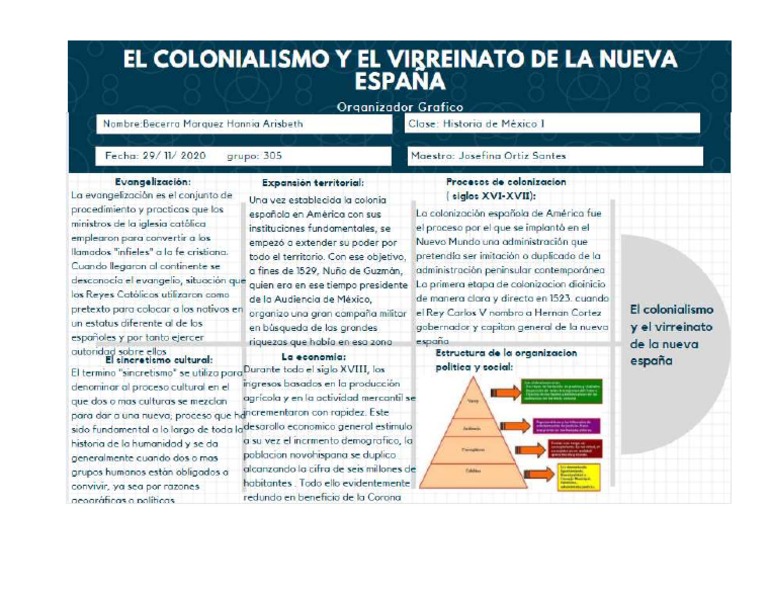 Organizador Grafico | PDF