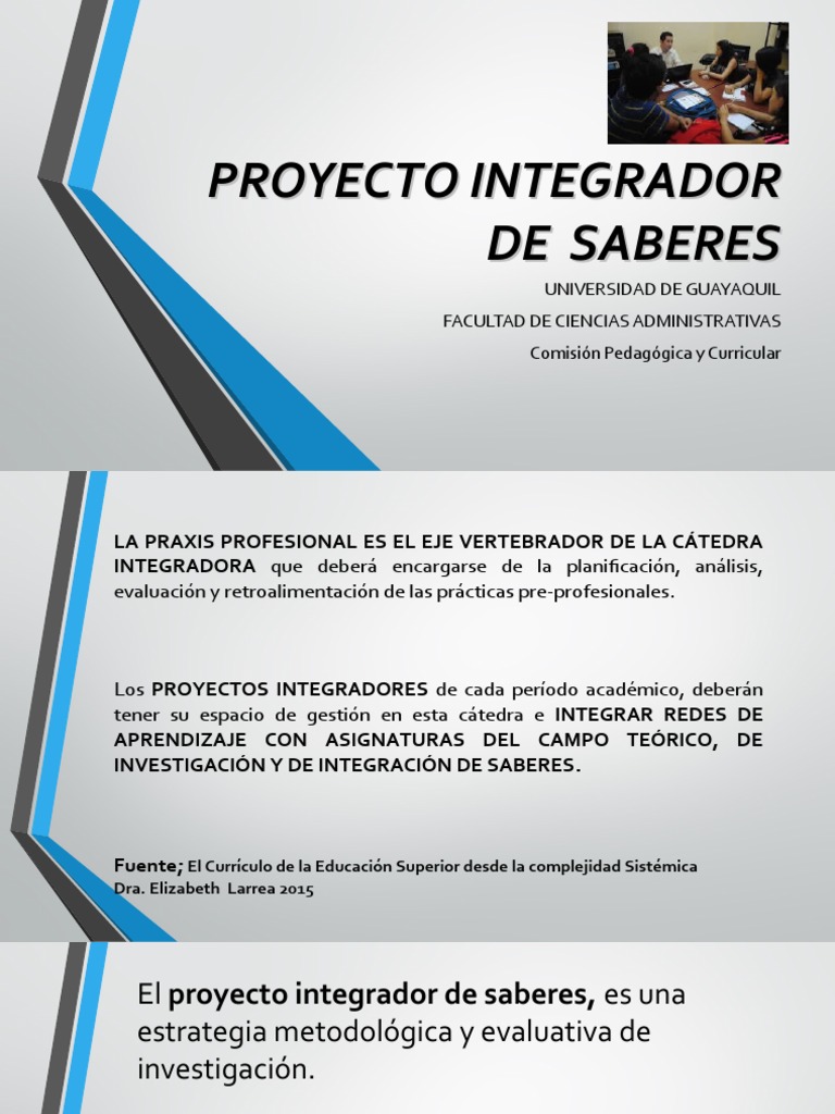Proyecto Integrador de Saberes | PDF