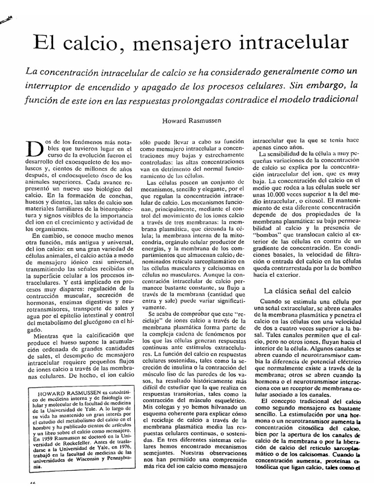 El Calcio, Mensajero Intracelular | PDF