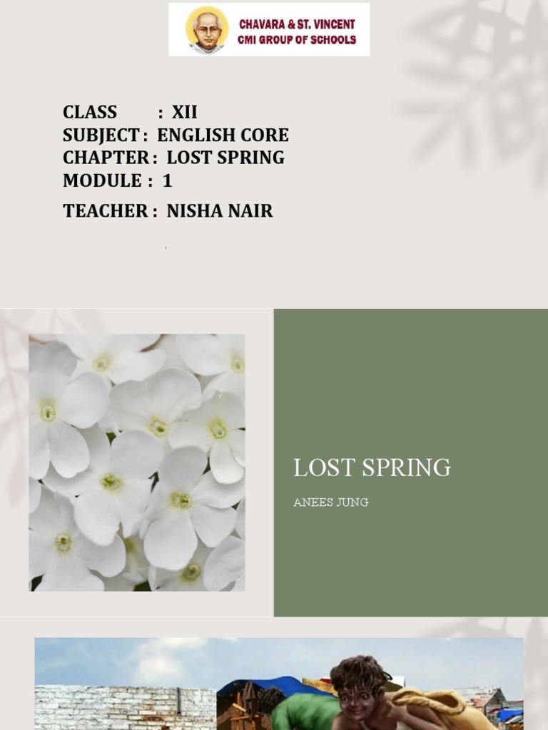 Lost Spring: Child Labor & Poverty | PDF | General Fiction