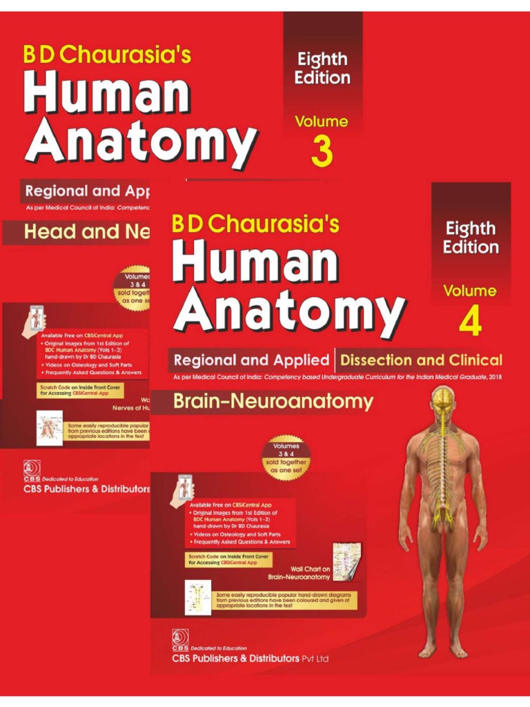BD Chaurasias Human Anatomy Volume 3 | PDF