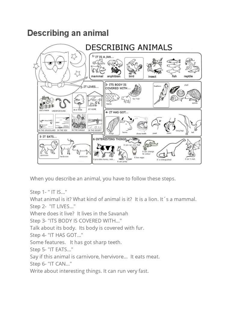 Describing An Animal | PDF