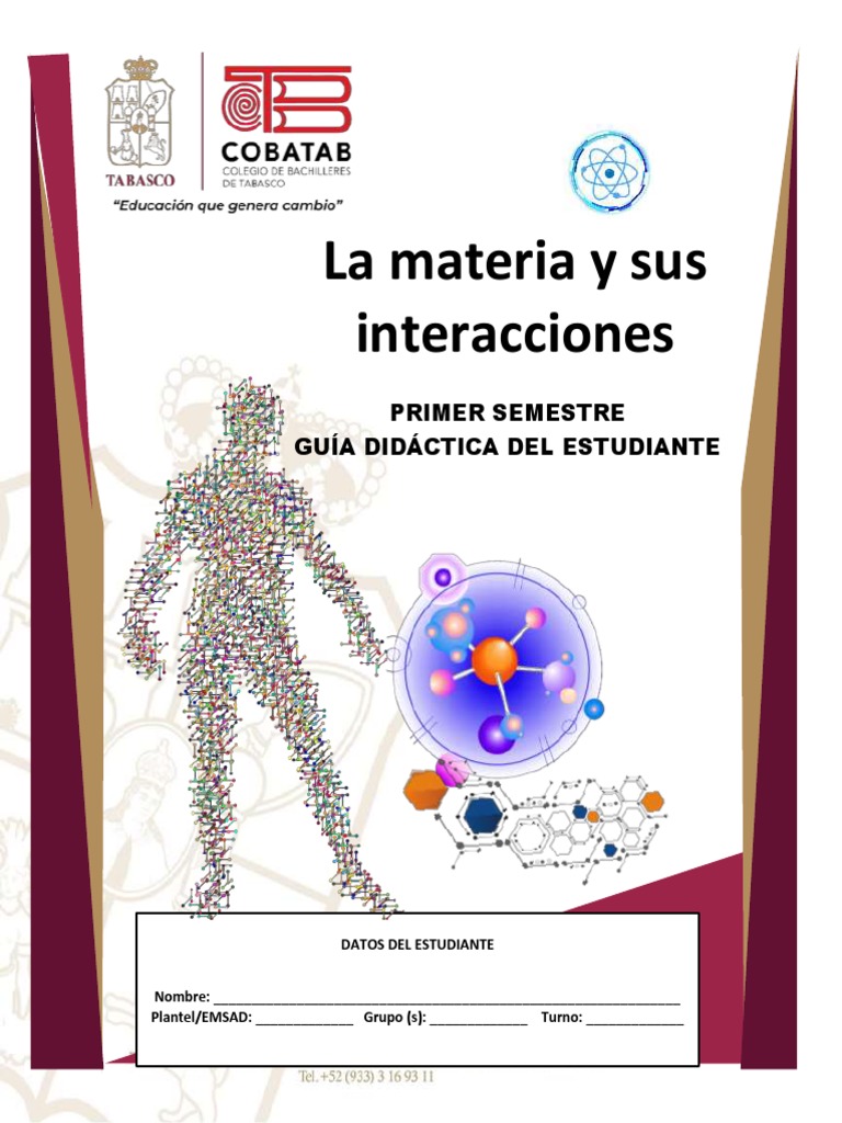 Guía Didáctica: Materia e Interacciones | PDF