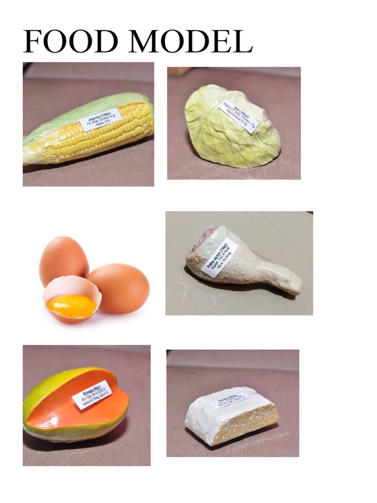 Food Model | PDF