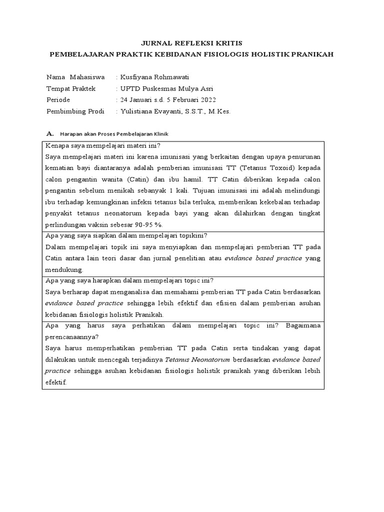 Jurnal Refleksi Kriti 2009 | PDF