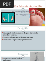 Linea de Feiss, Linea de Helbing | PDF | Pie | Anatomía humana