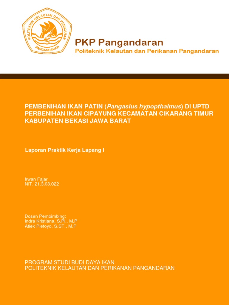 Laporan Fix Cetak | PDF