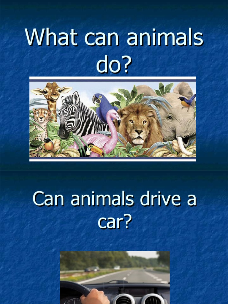 Can Animals Drive and More? | PDF