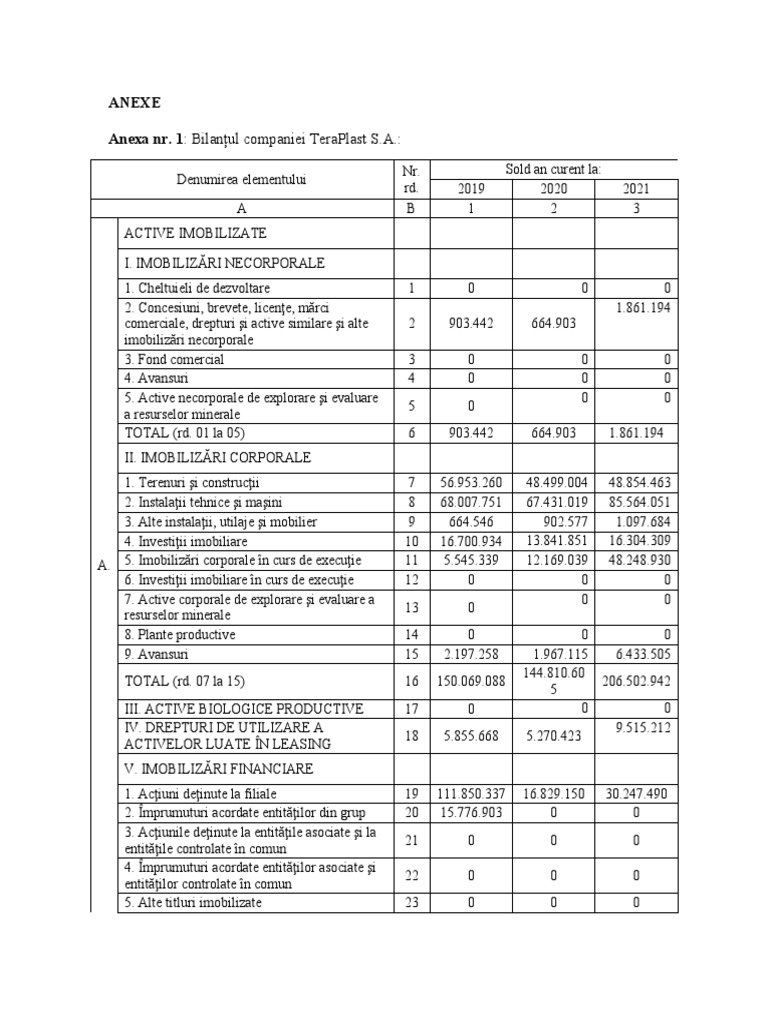 Anexe Lucrare Disertatie - Teraplast Sa | PDF