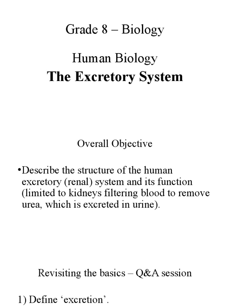 Biology Grade 8 - Excretion | PDF | Kidney | Excretion