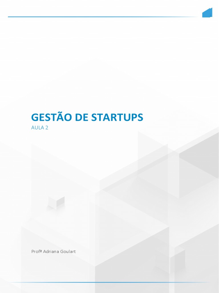 Startup 2 Pdf