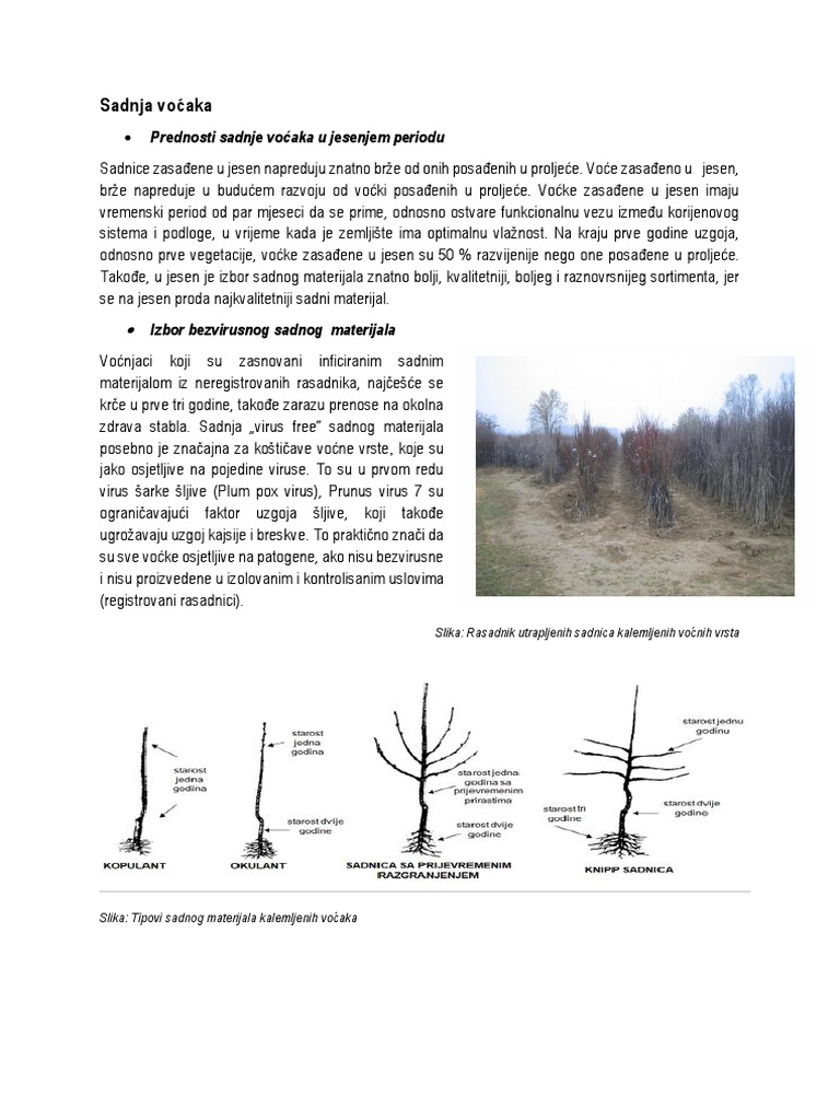 Sadnja Vocaka B0k | PDF