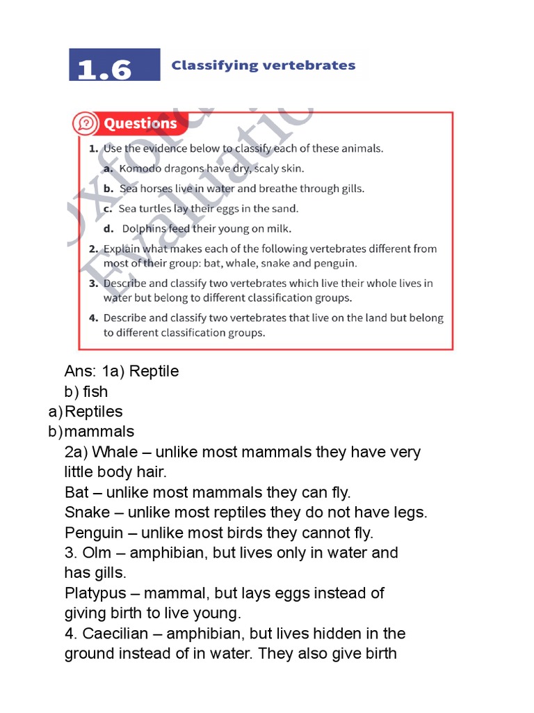 Vertebrate Classification Overview | PDF