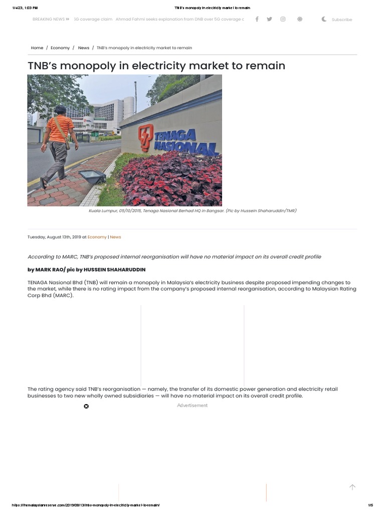 TNB's Monopoly in Electricity Market To Remain | PDF | Economies ...