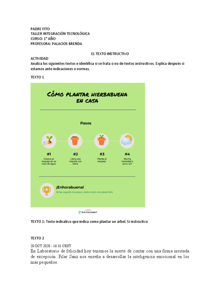 Tarea Texto Instructivo. | PDF