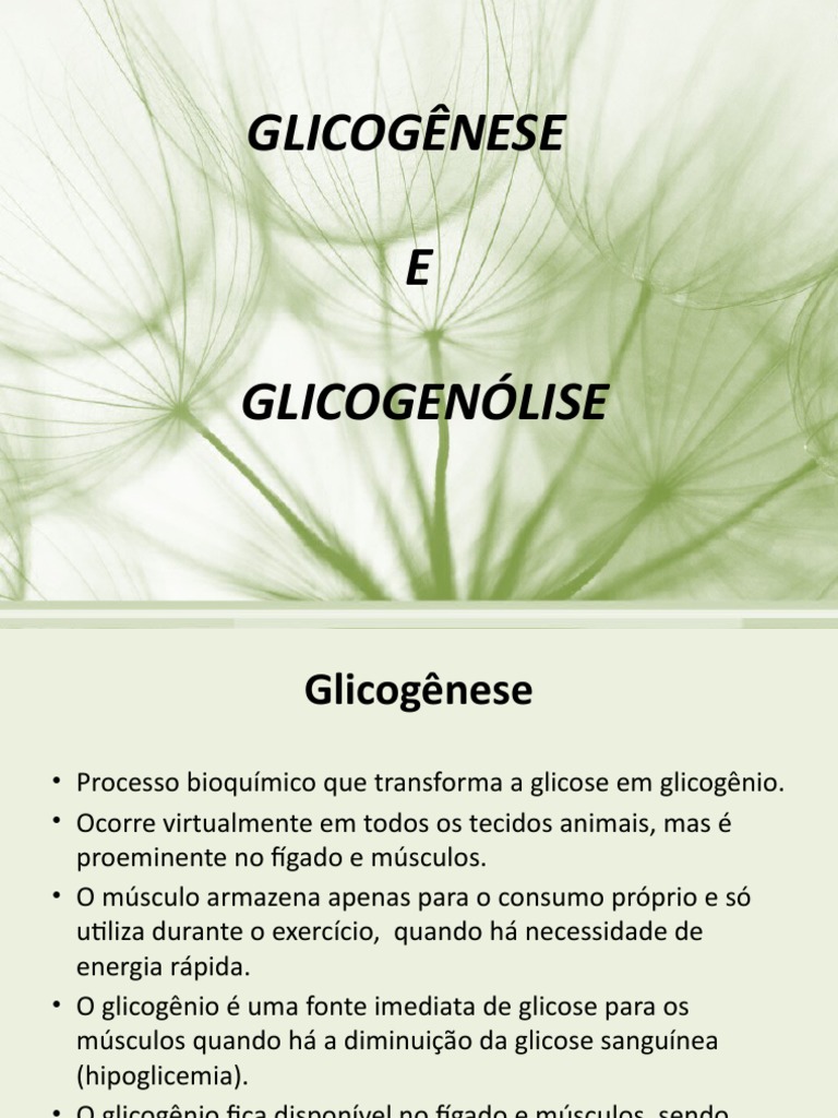 Aula 20 - Glicogênese e Glicogenólise | PDF