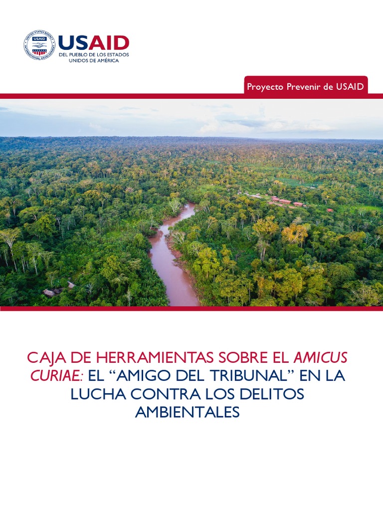 Amicus Curiae | PDF | Amicus Curiae | Caso de ley