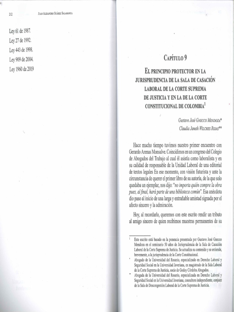 El Principio Protector-2 | PDF