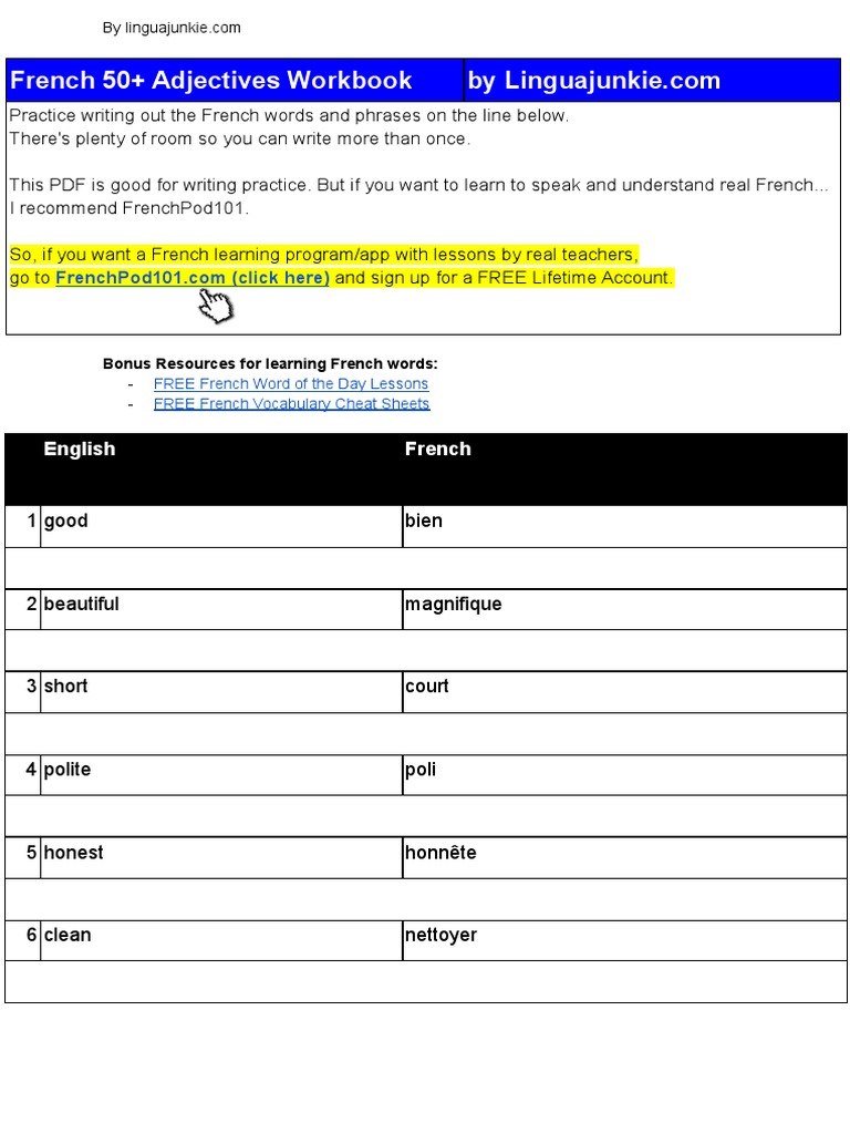 French Adjectives Workbook | PDF