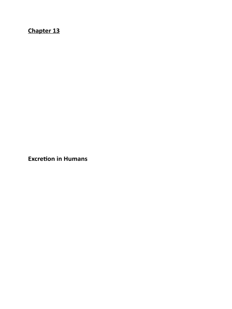 Excretion in Humans (0610 Biology 2023-2025) | PDF | Kidney | Physiology