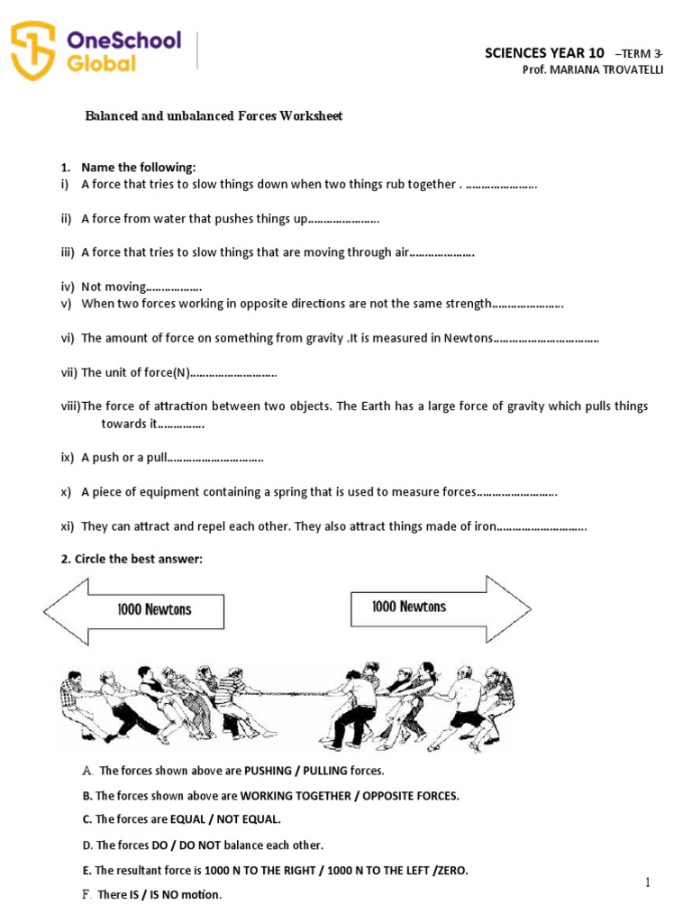 Y10scienec For CES Worksheet | PDF | Force | Weight