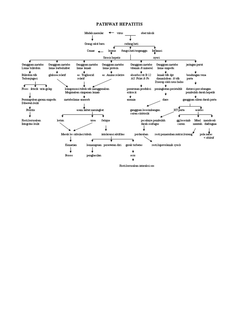 Pathway Hepatitis | PDF
