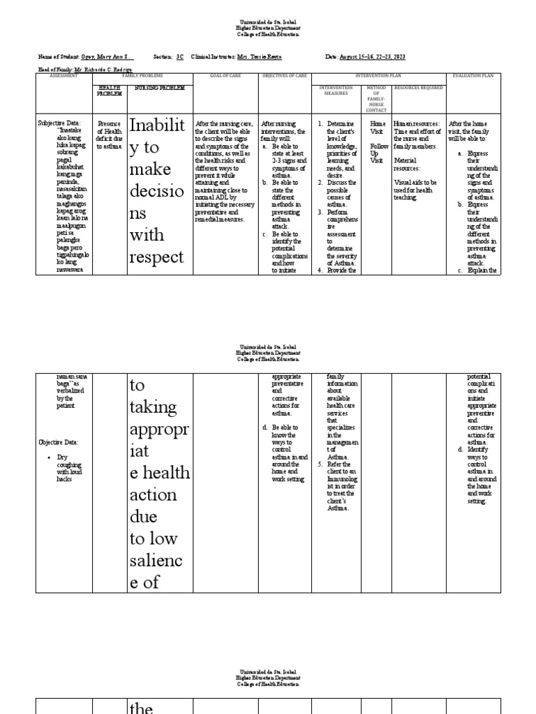 FNCP Template | Download Free PDF | Nursing | Asthma