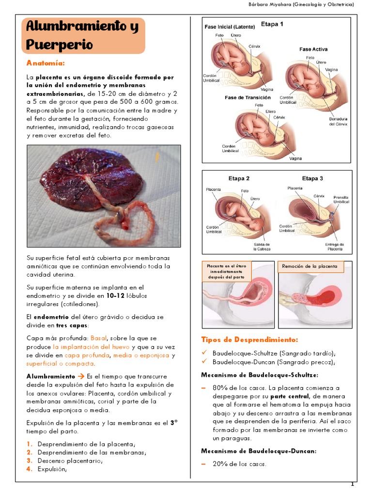 Alumbramiento y Puerperio | PDF | Placenta | Periodo posparto