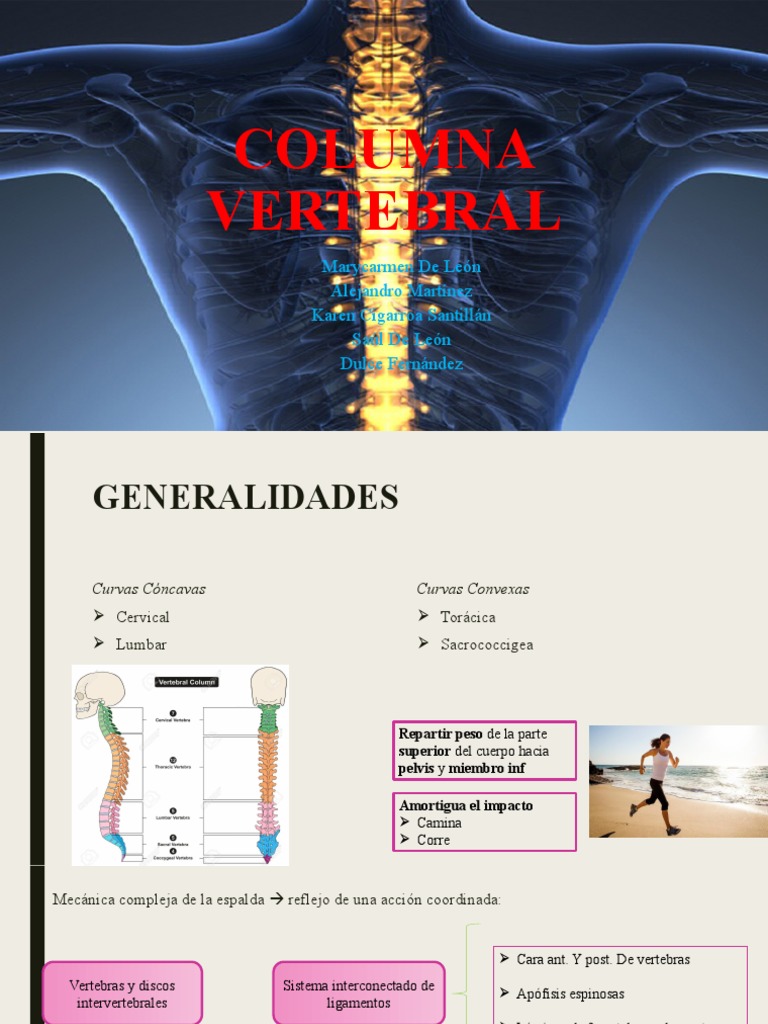 Columna Vertebral | PDF