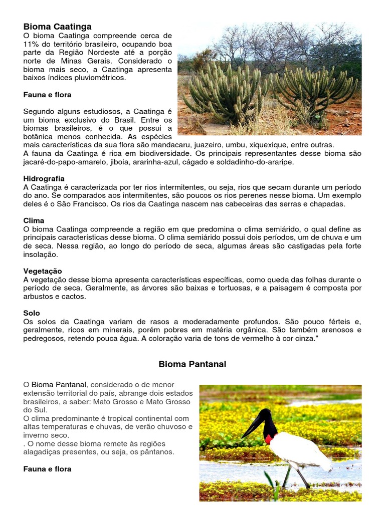 Bioma Caatinga, Pampa e Mata Atlântica | PDF | Florestas | Pasto