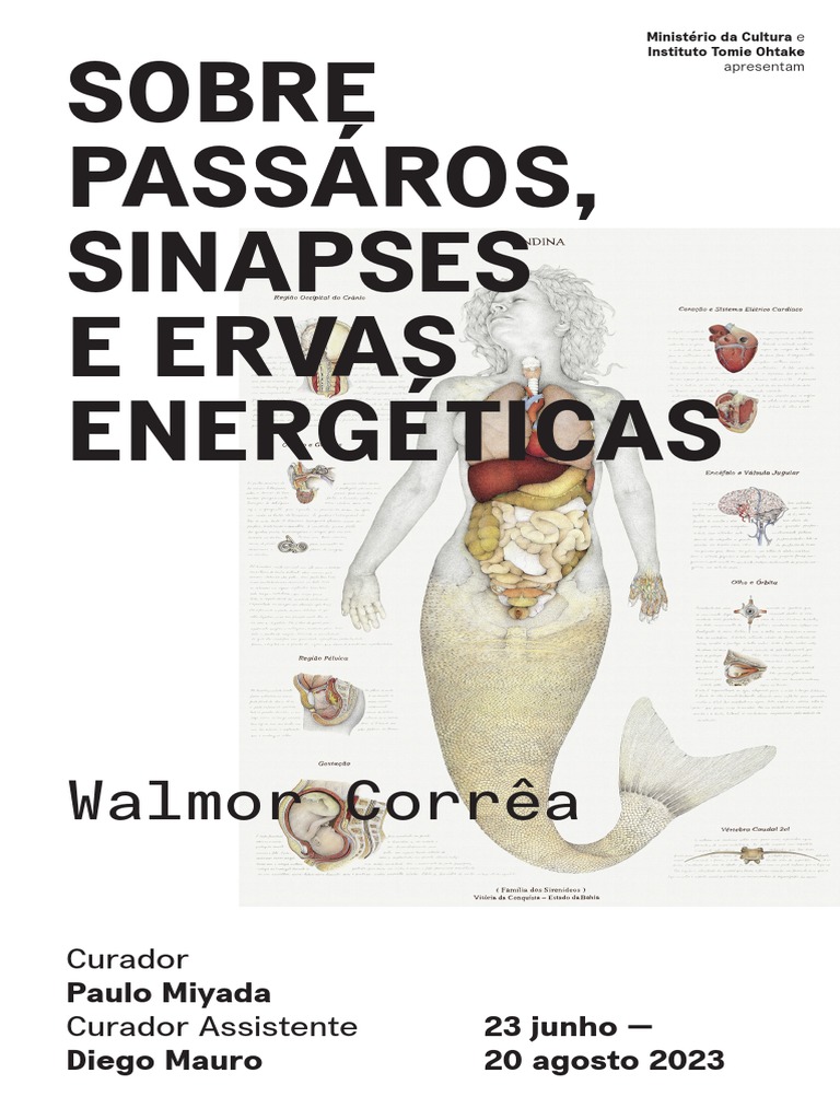 Tomie Othake Walmor Corrêa - Flyer Digital (2023) | PDF