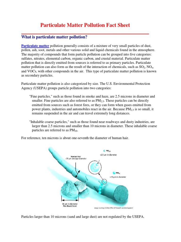 Particulate Matter | PDF | Particulates | Air Pollution