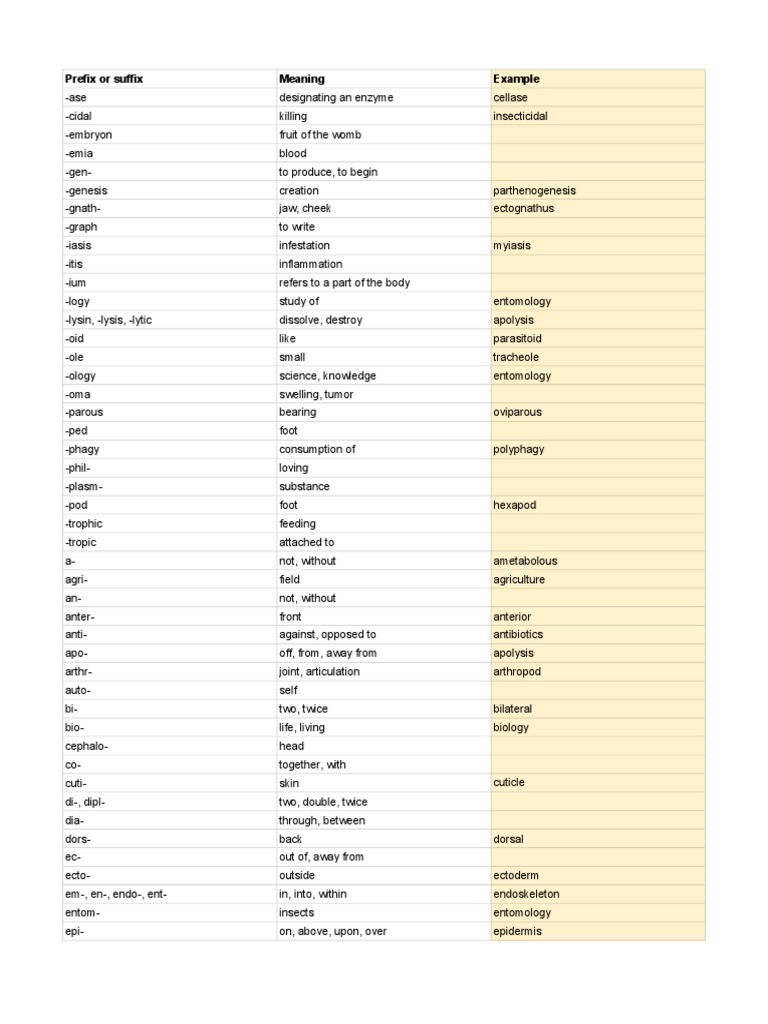 Q CY9qjeEemJ1w4LYV5qDg - Useful Biological Prefixes and Suffixes | PDF