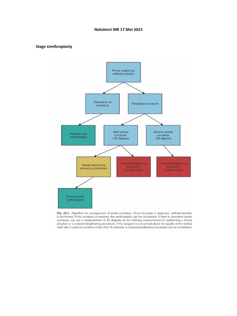 Notulensi STAGED URETHROPLASTY Dan Tatalaksana Ca Buli | PDF