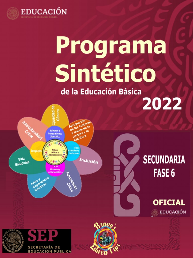 Programa Sintético Oficial-023 | PDF | Enseñando | Aprendizaje