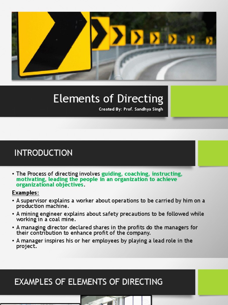 Elements of Directing | PDF | Motivational | Motivation