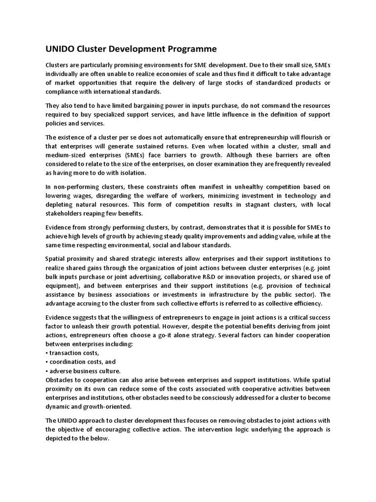 UNIDO Cluster Development Strategy | PDF | Governance | Economic Growth