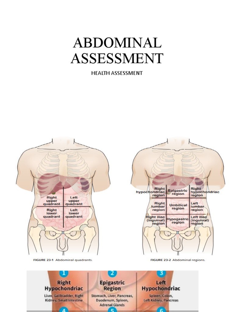 Abdominal Assessment | PDF | Self-Improvement | Wellness