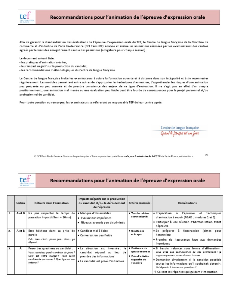 TEF - Techniques d'animation | PDF