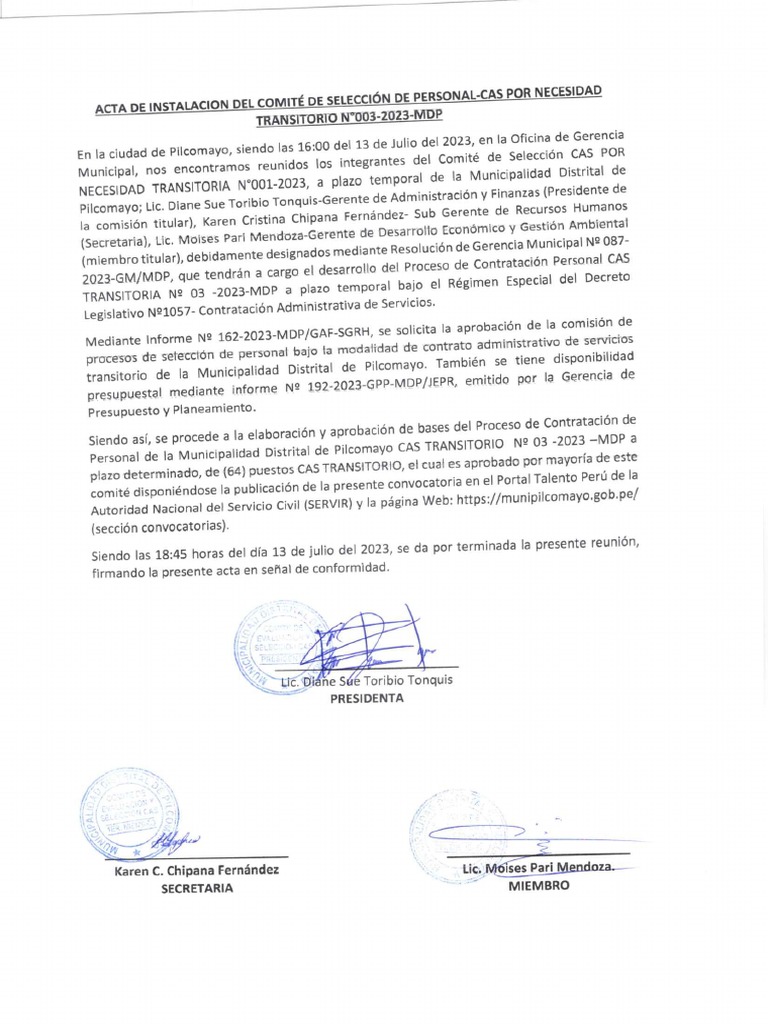 Bases Finales Del Cas 3 | PDF