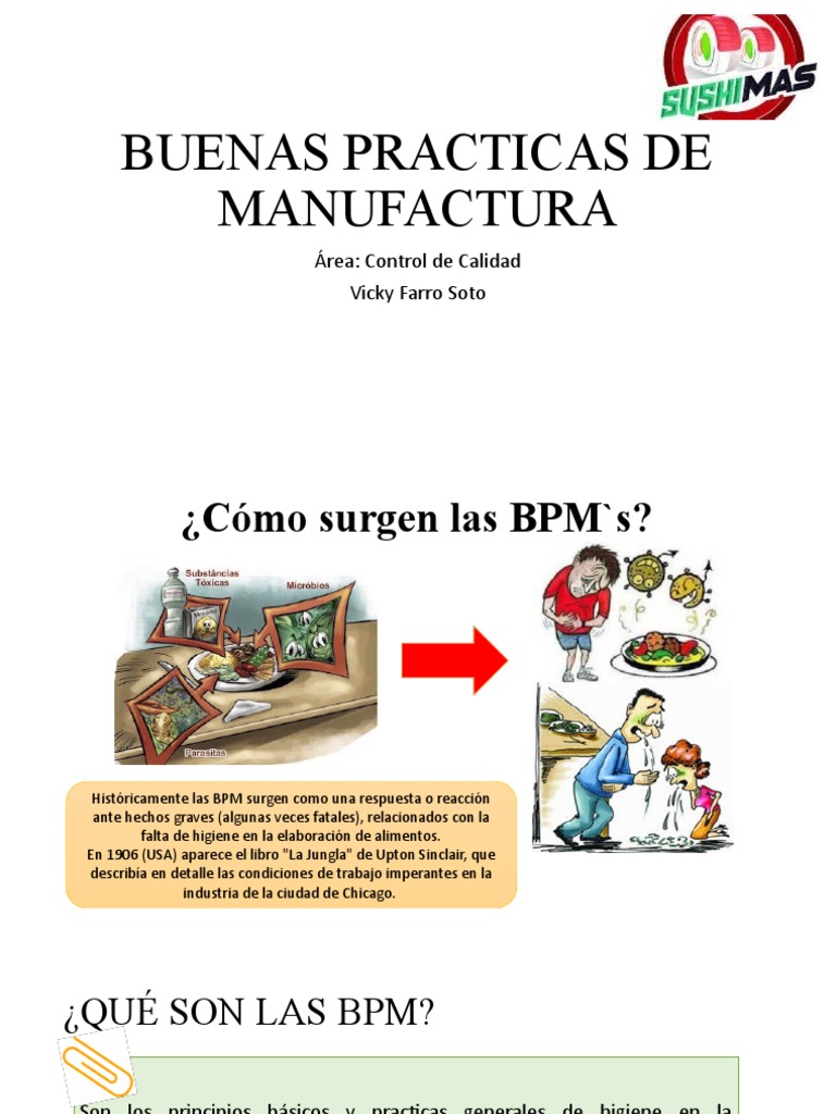 Buenas Practicas de Manufactura | PDF