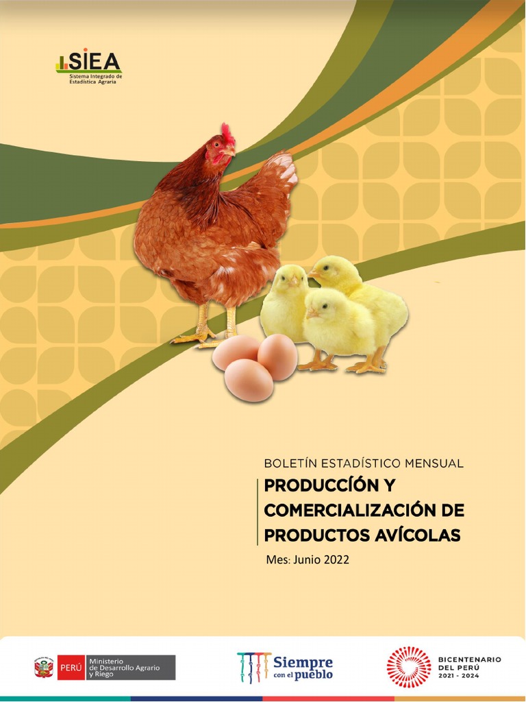 Producción Avícola en Perú: Junio 2022 | PDF | Pollo | Aves