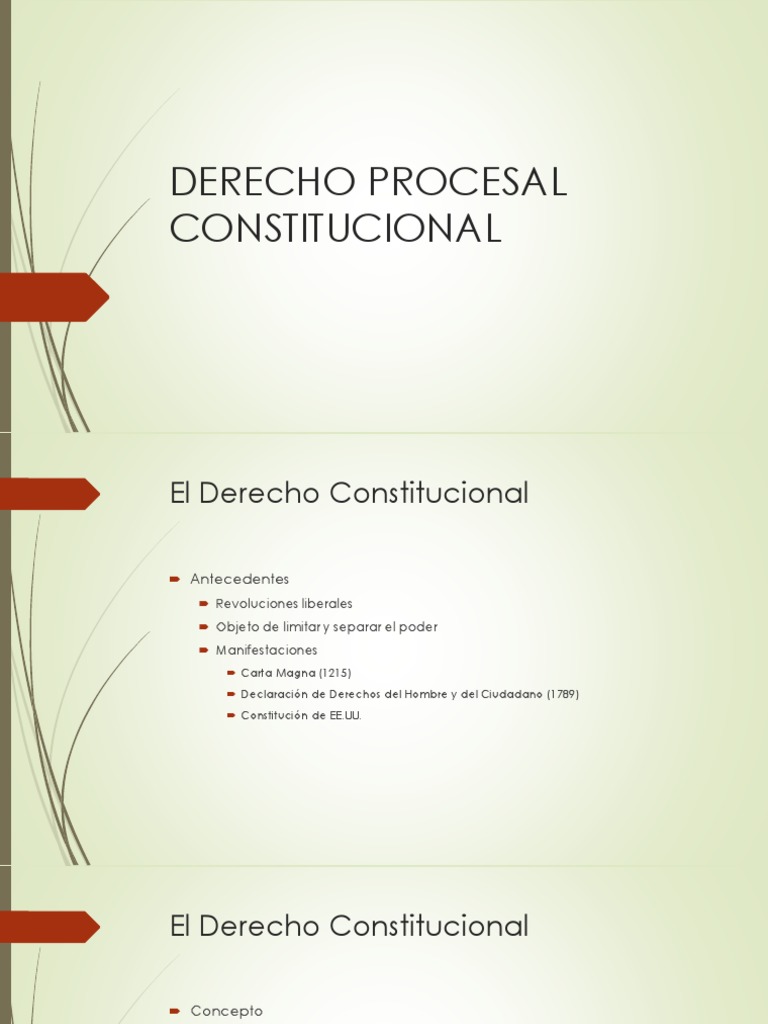 Derecho Procesal Constitucional | PDF | Constitución | Ley procesal